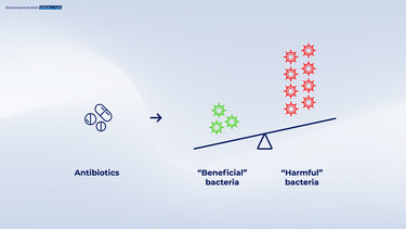Why should you take probiotics while on antibiotics?