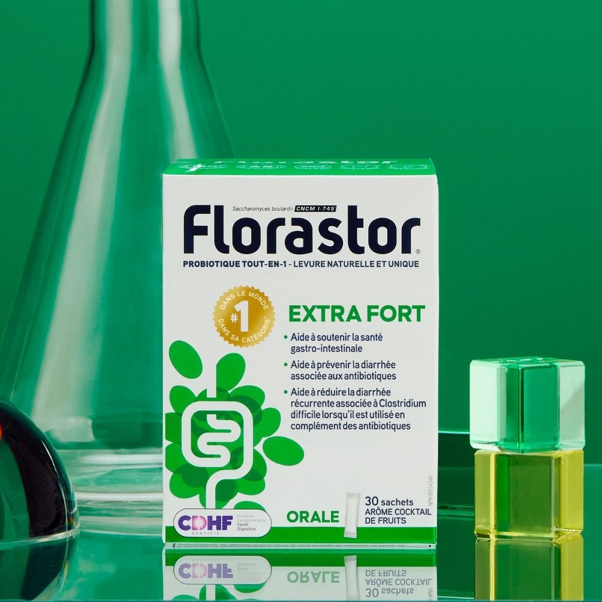 Florastor Probiotique Tout-En-1